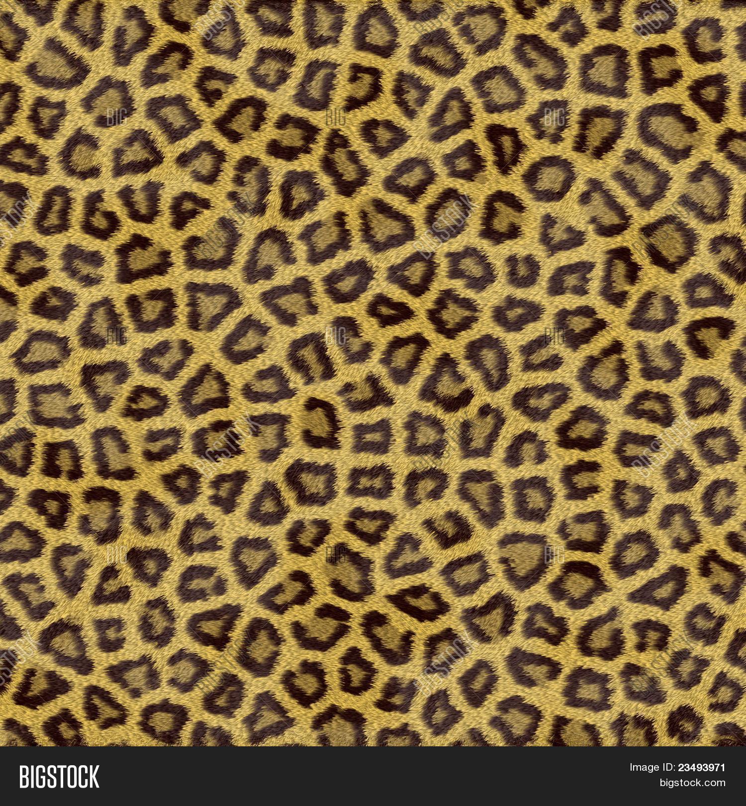 Leopard Texture Image & Photo (Free Trial) | Bigstock