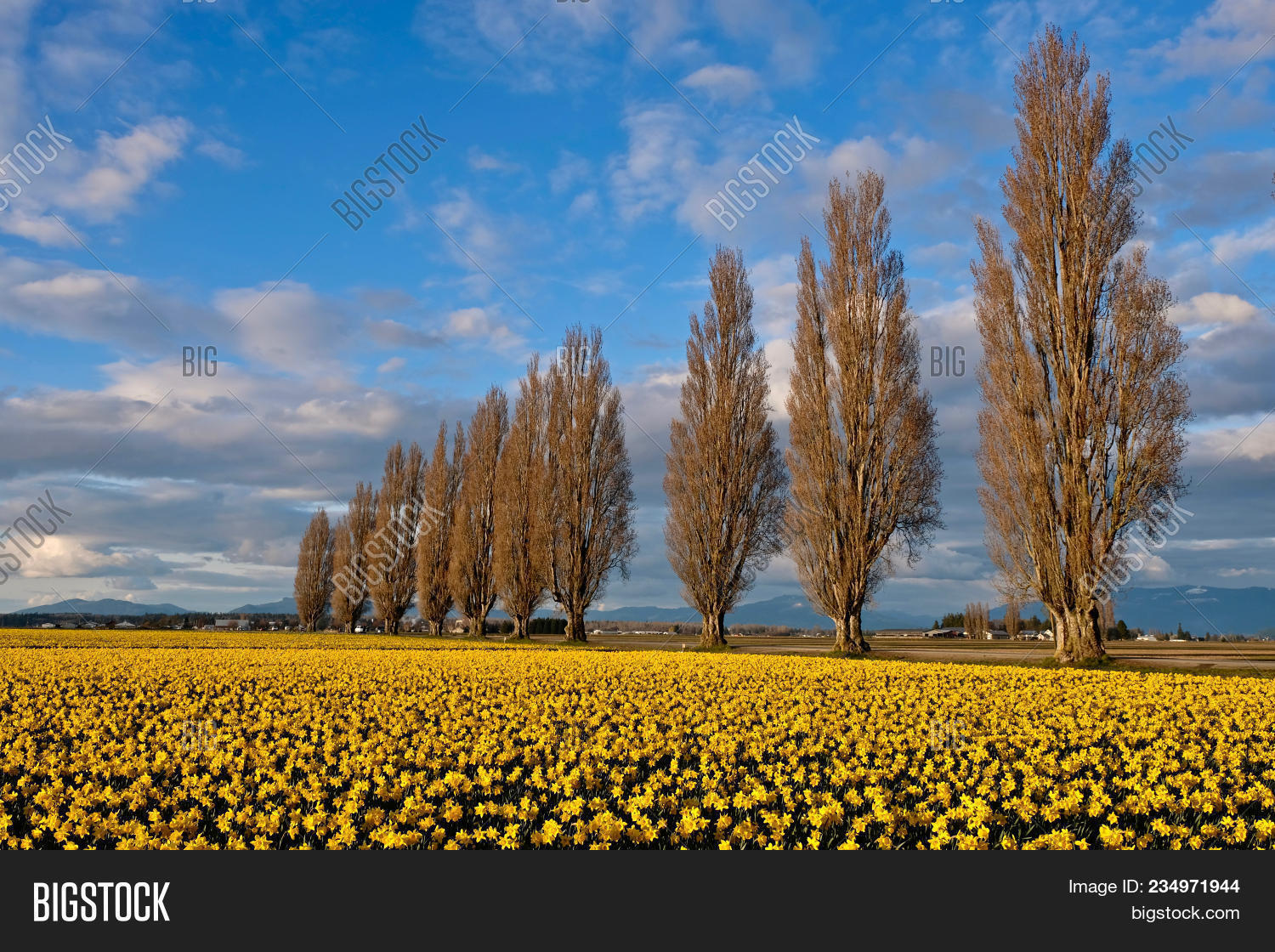 Spring Fields Alley. Image & Photo (Free Trial) | Bigstock