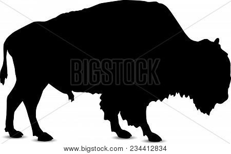 Silhouette Buffalo Vector & Photo (Free Trial) | Bigstock