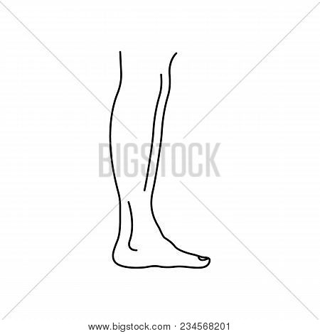 Leg Icon. Outline Leg Vector & Photo (Free Trial) | Bigstock