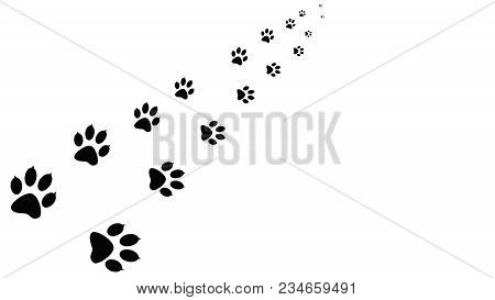 Black Paw Prints Image & Photo (Free Trial) | Bigstock
