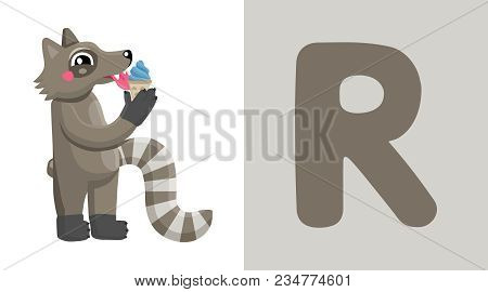 R Raccoon. Letter R. Vector & Photo (Free Trial) | Bigstock