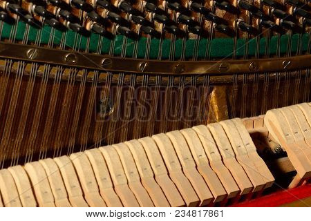 Piano Strings Sound Image & Photo (Free Trial) | Bigstock