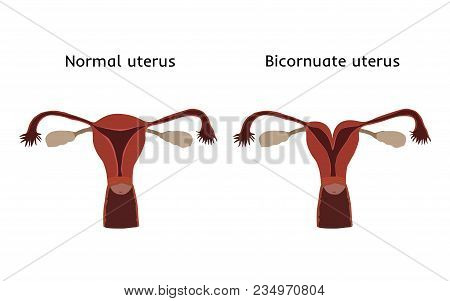 Heart-shaped, Vector & Photo (Free Trial) | Bigstock