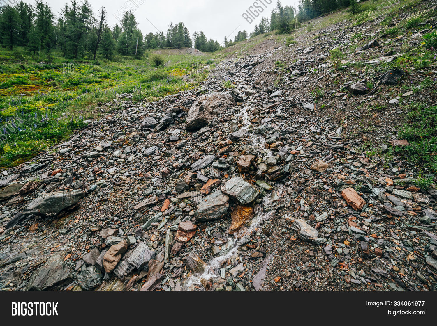 Clear Spring Water Image & Photo (Free Trial) | Bigstock
