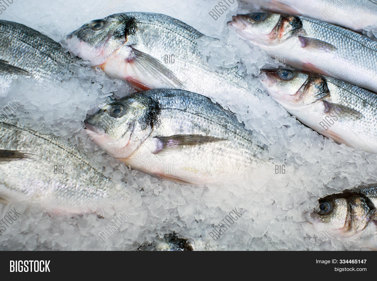 Fish Seafood Ice. Image & Photo (Free Trial) | Bigstock
