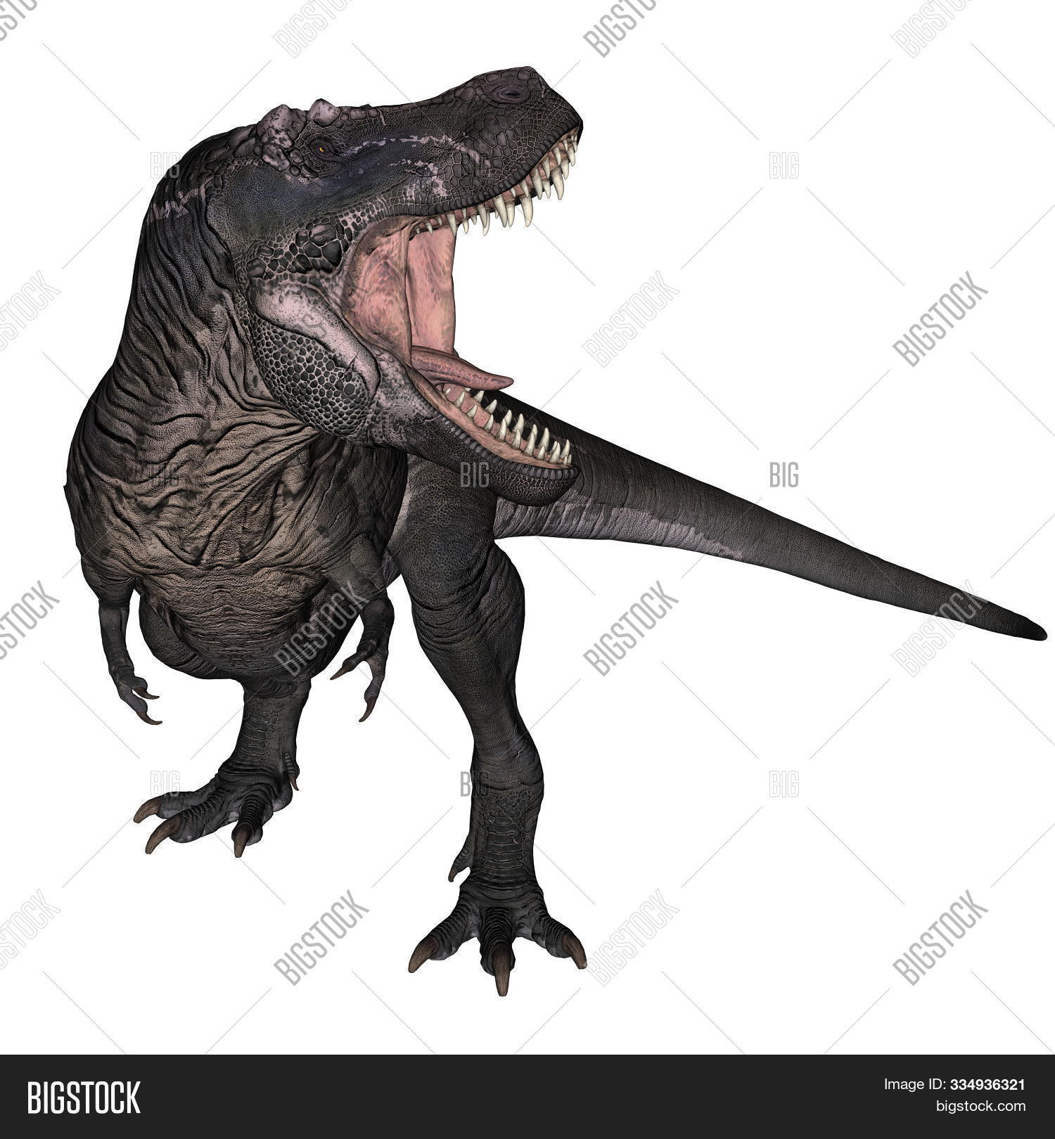 T-rex Roaring While Image & Photo (Free Trial) | Bigstock