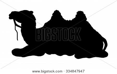Camel Simple Graphic Vector & Photo (Free Trial) | Bigstock
