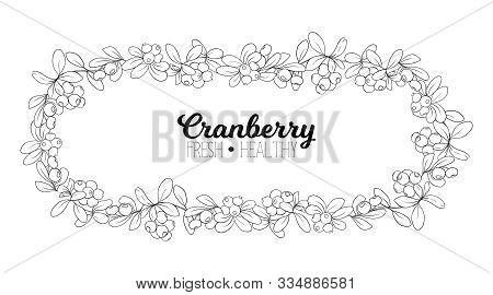Cranberry. Element Vector & Photo (Free Trial) | Bigstock