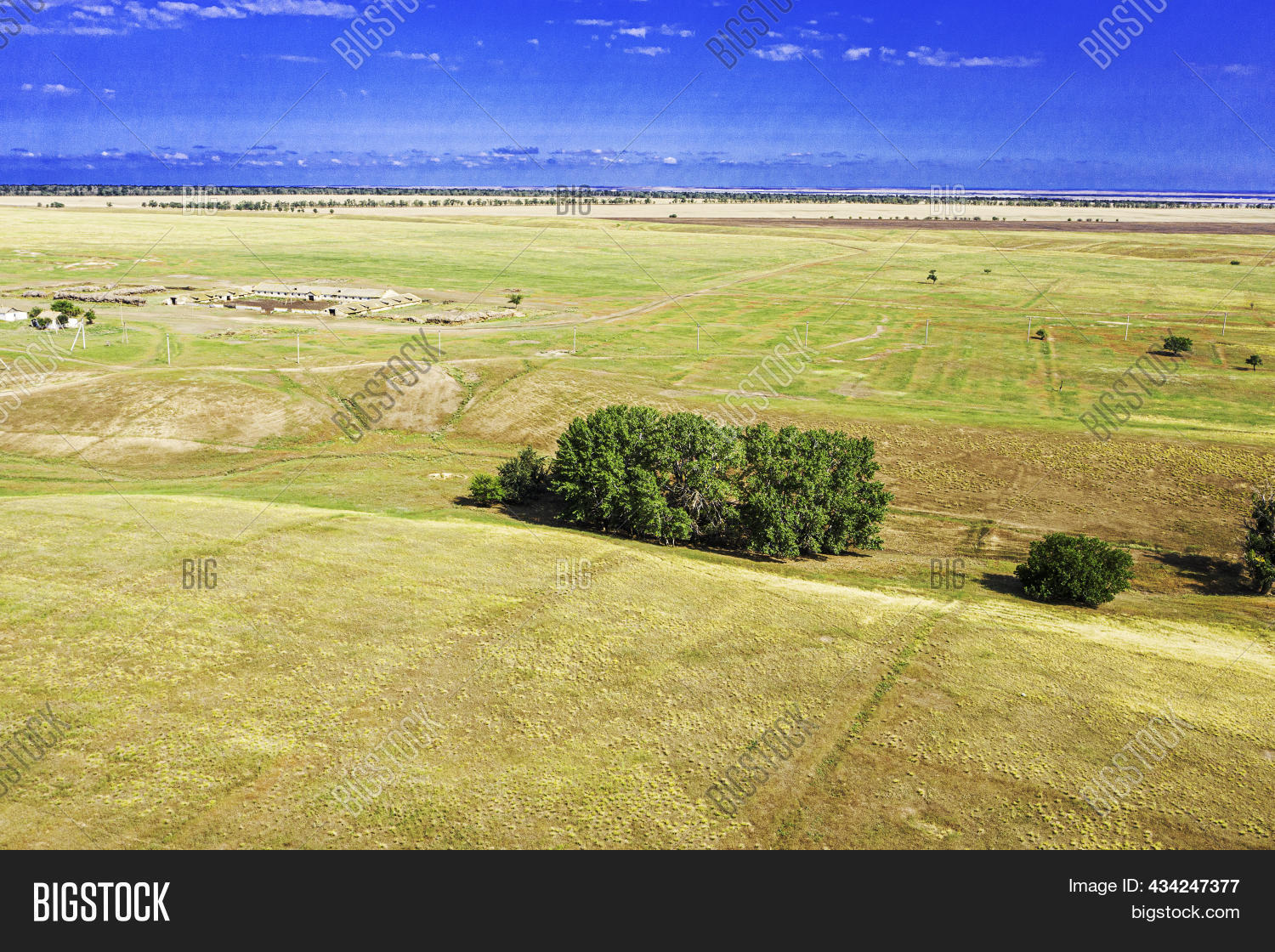Steppe Landscape Trees Image & Photo (Free Trial) | Bigstock