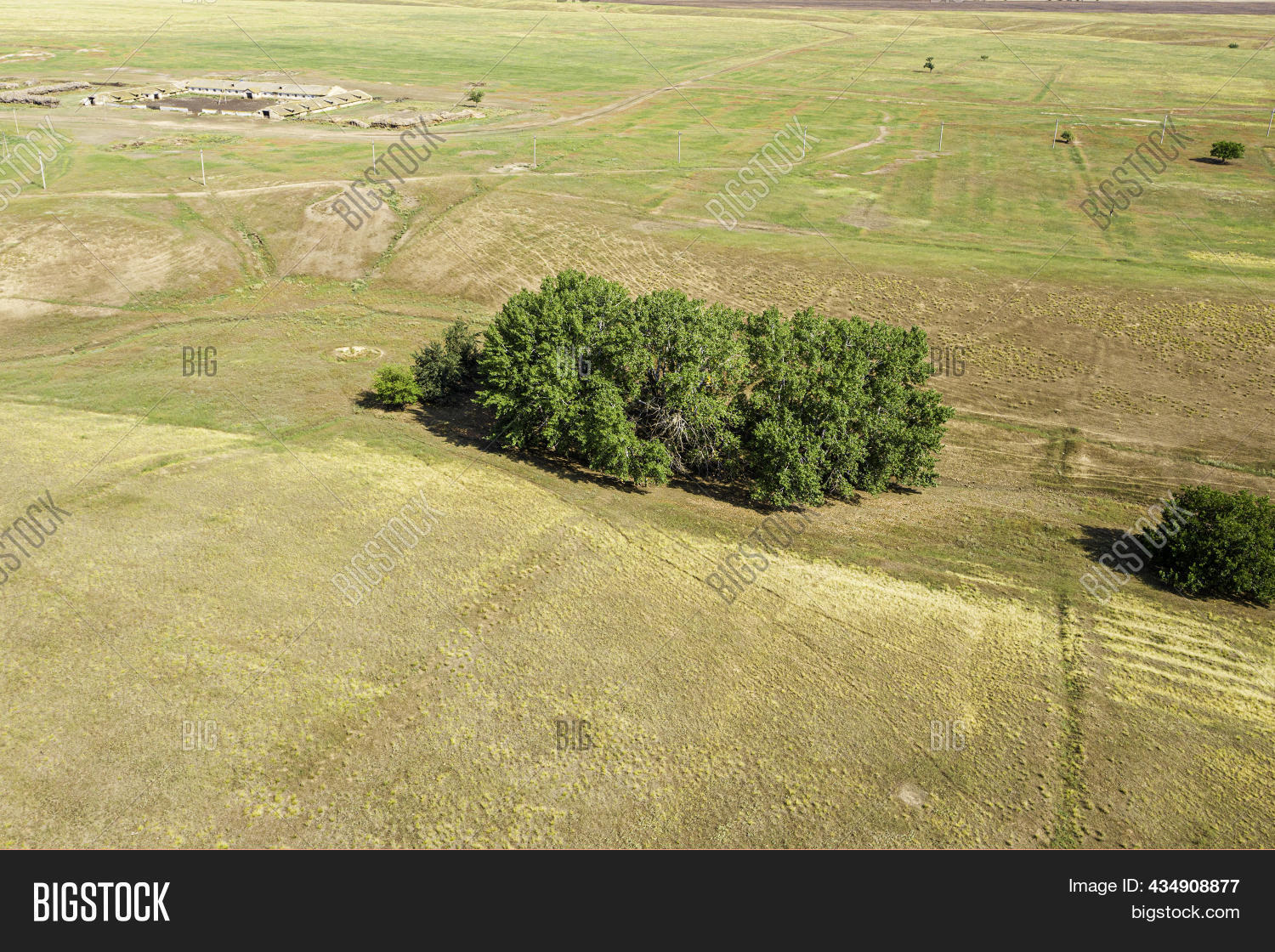 Steppe Landscape Trees Image & Photo (Free Trial) | Bigstock