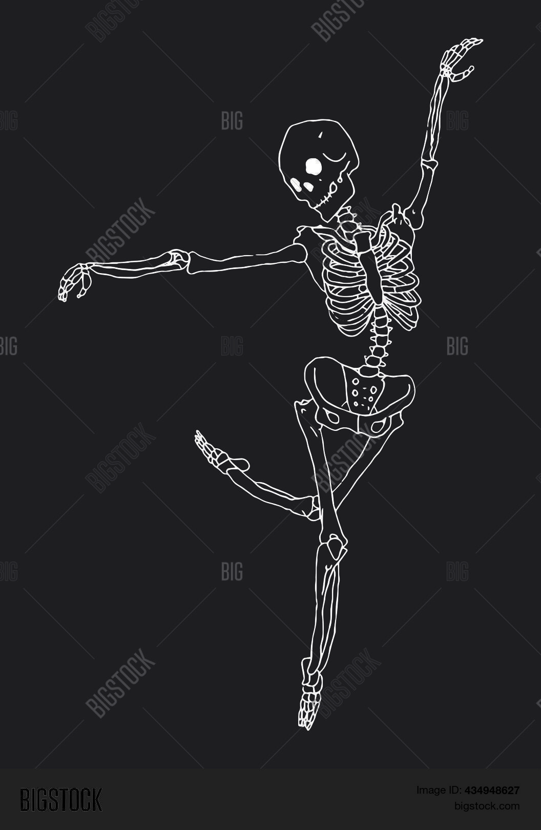 Dancing Skeleton Clip Art Vector