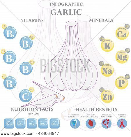 Garlic Nutrition Vector & Photo (Free Trial) | Bigstock