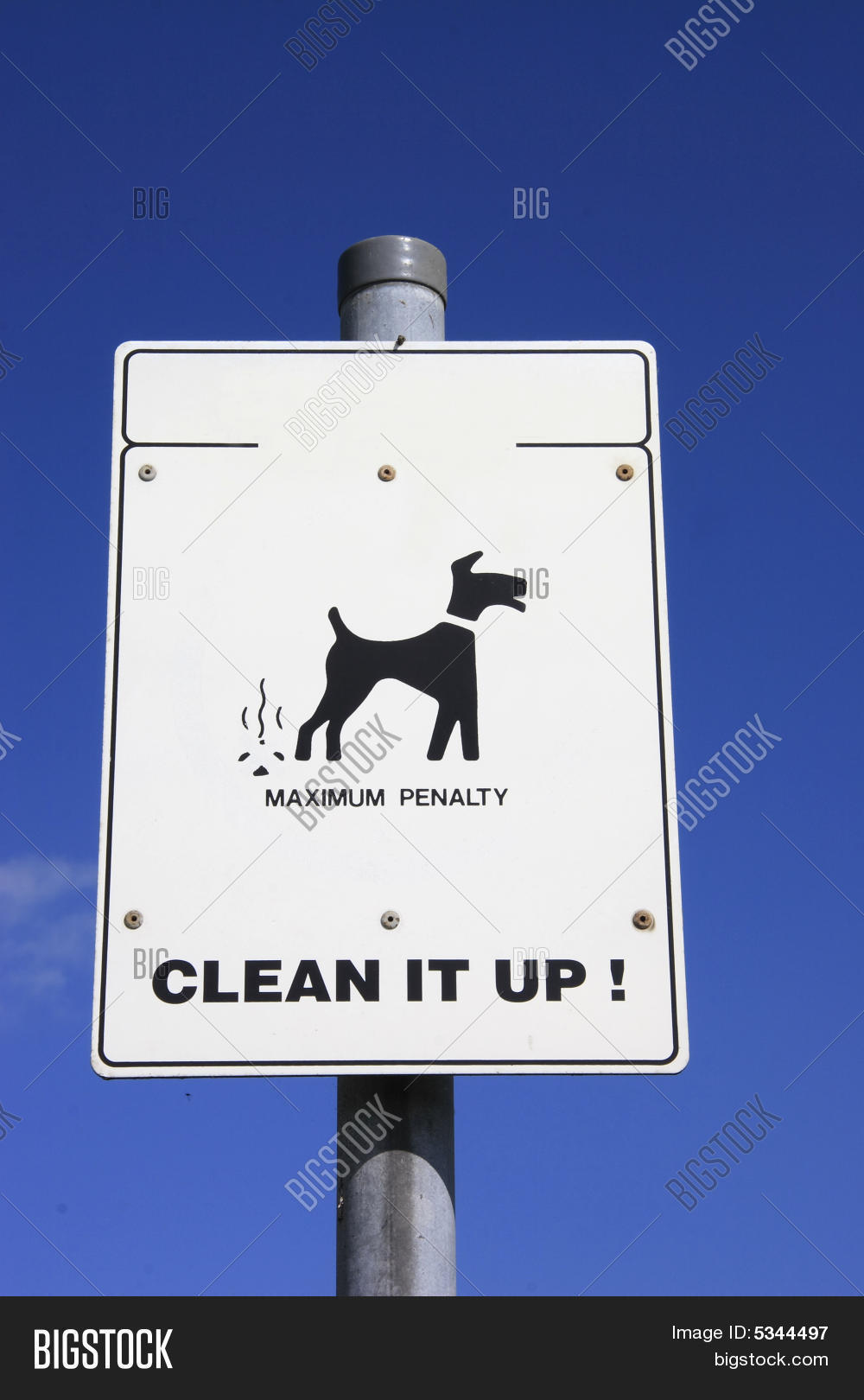 Dog Mess Sign Image & Photo (Free Trial) | Bigstock