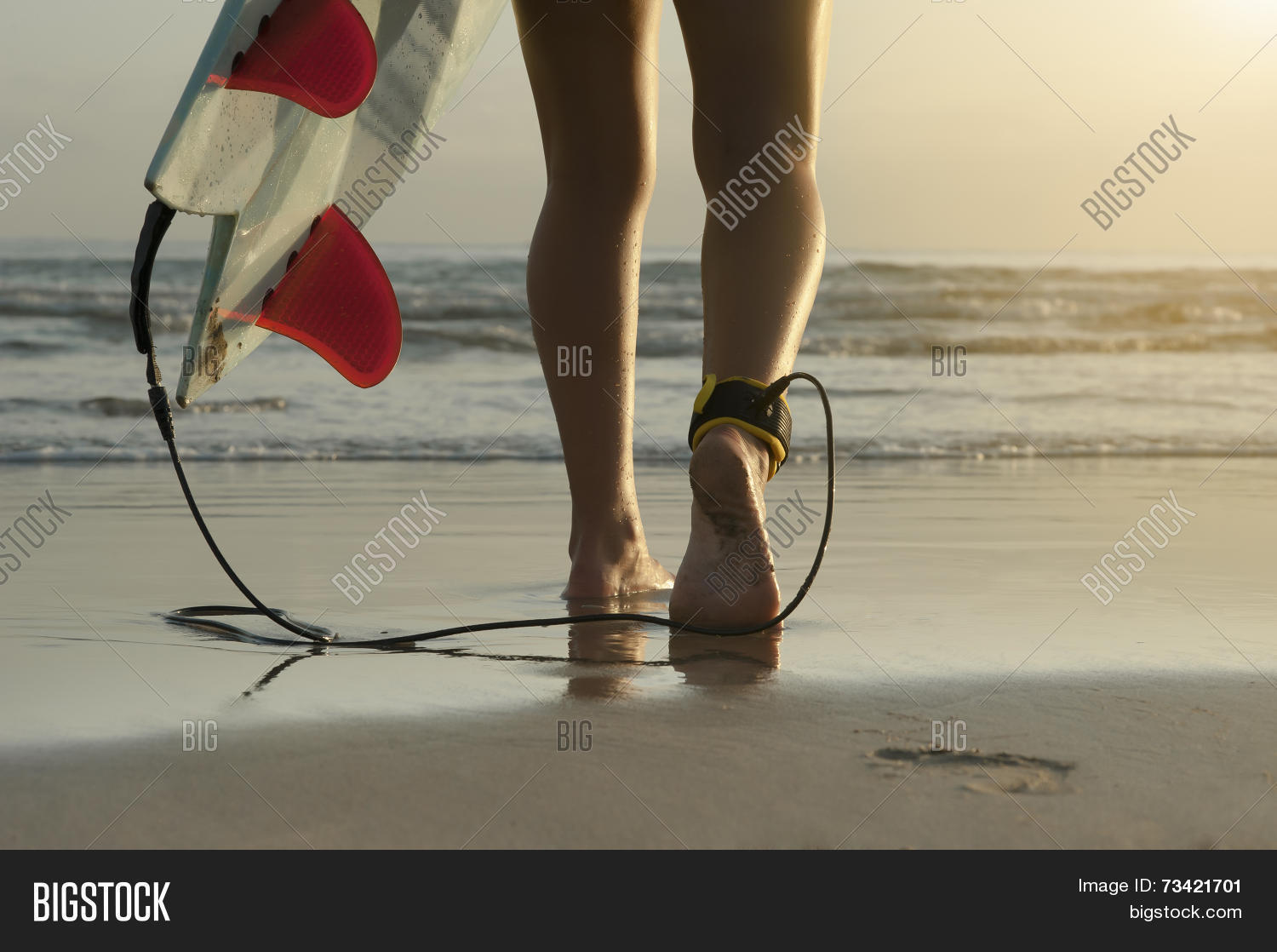 Young Beautiful Surfer Image & Photo (Free Trial) | Bigstock