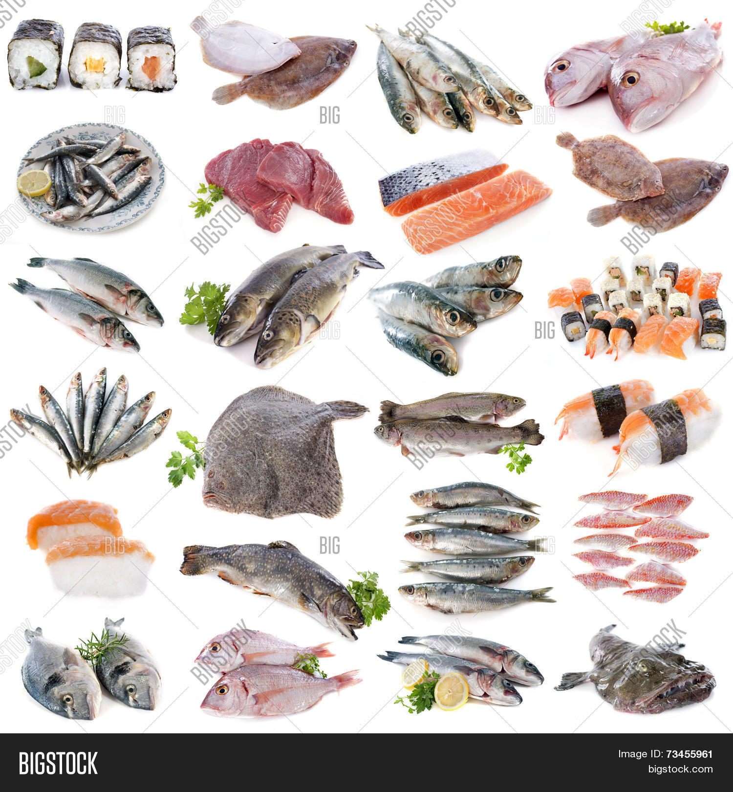 Group Fishes Image & Photo (Free Trial) | Bigstock