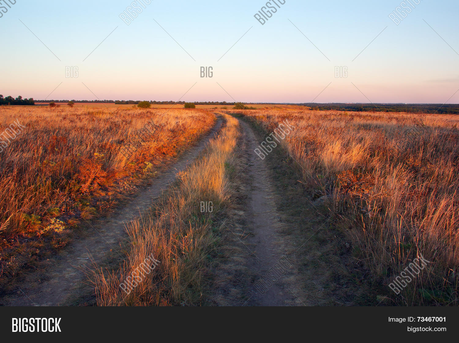 Field Footpath Sunset Image & Photo (Free Trial) | Bigstock