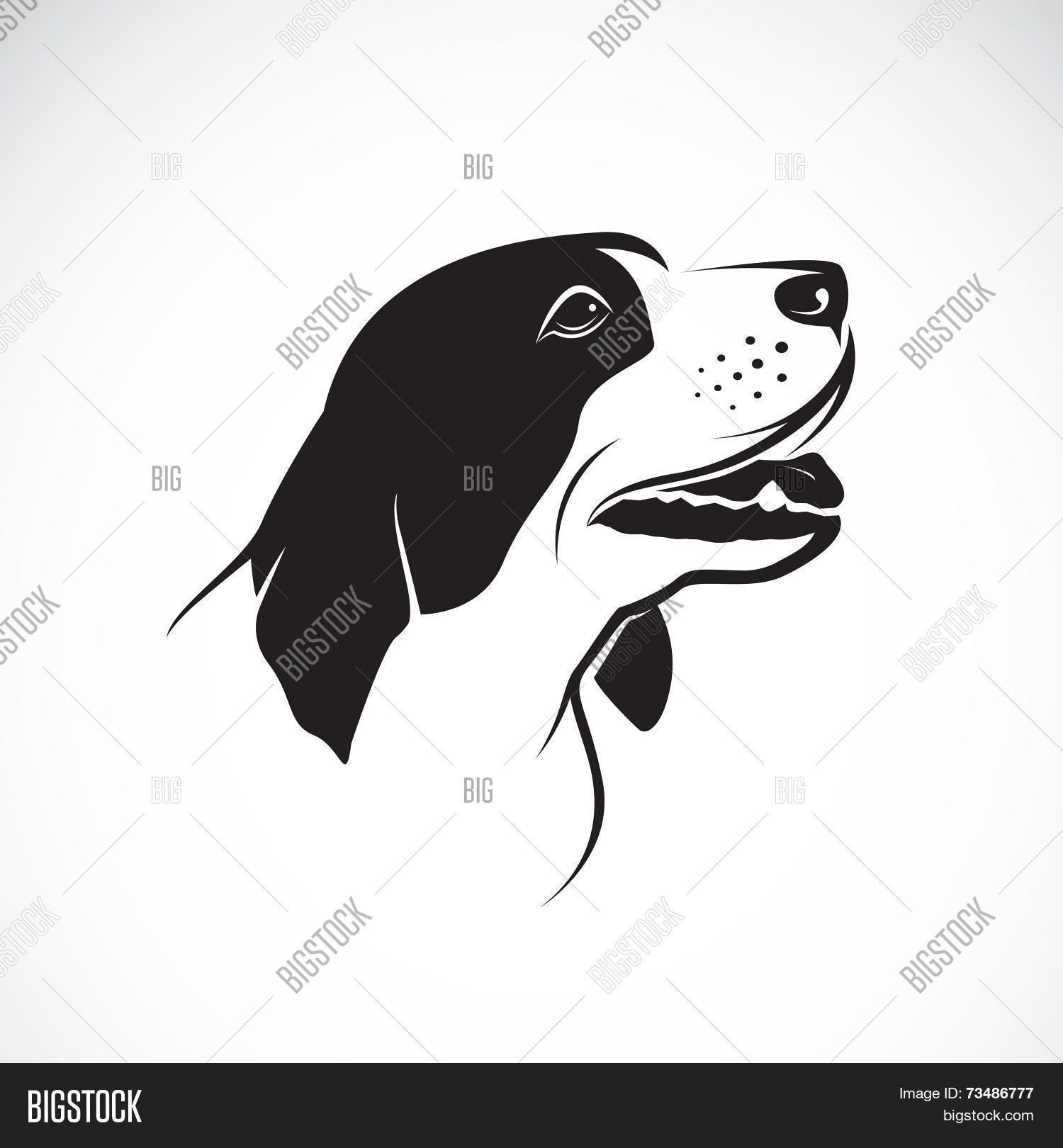 Vector Image 矢量图和照片（免费试用） | Bigstock