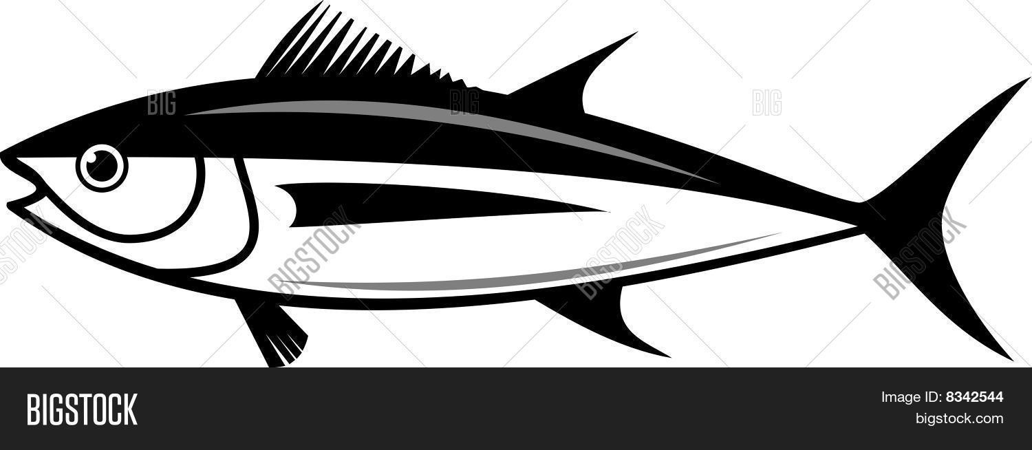 Vector Tuna Fish Vector & Photo (Free Trial) | Bigstock