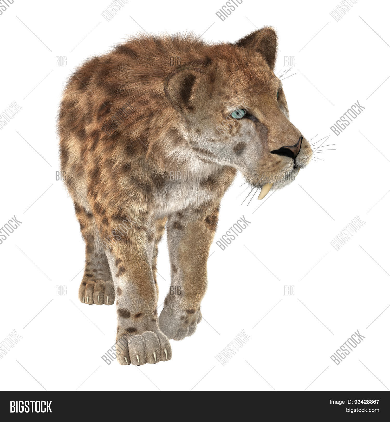 Big Cat Sabertooth Image & Photo (Free Trial) | Bigstock