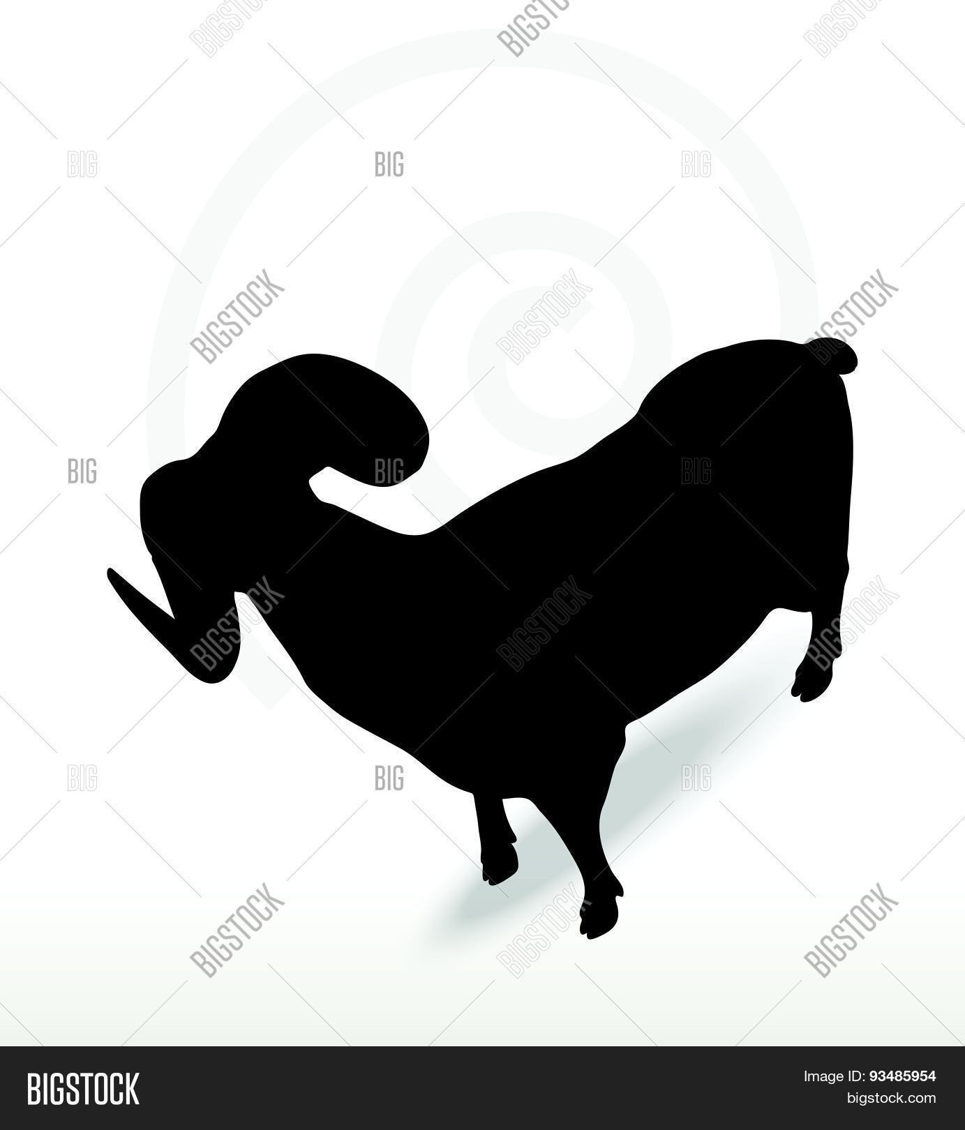 Big Horn Sheep Vector & Photo (Free Trial) | Bigstock