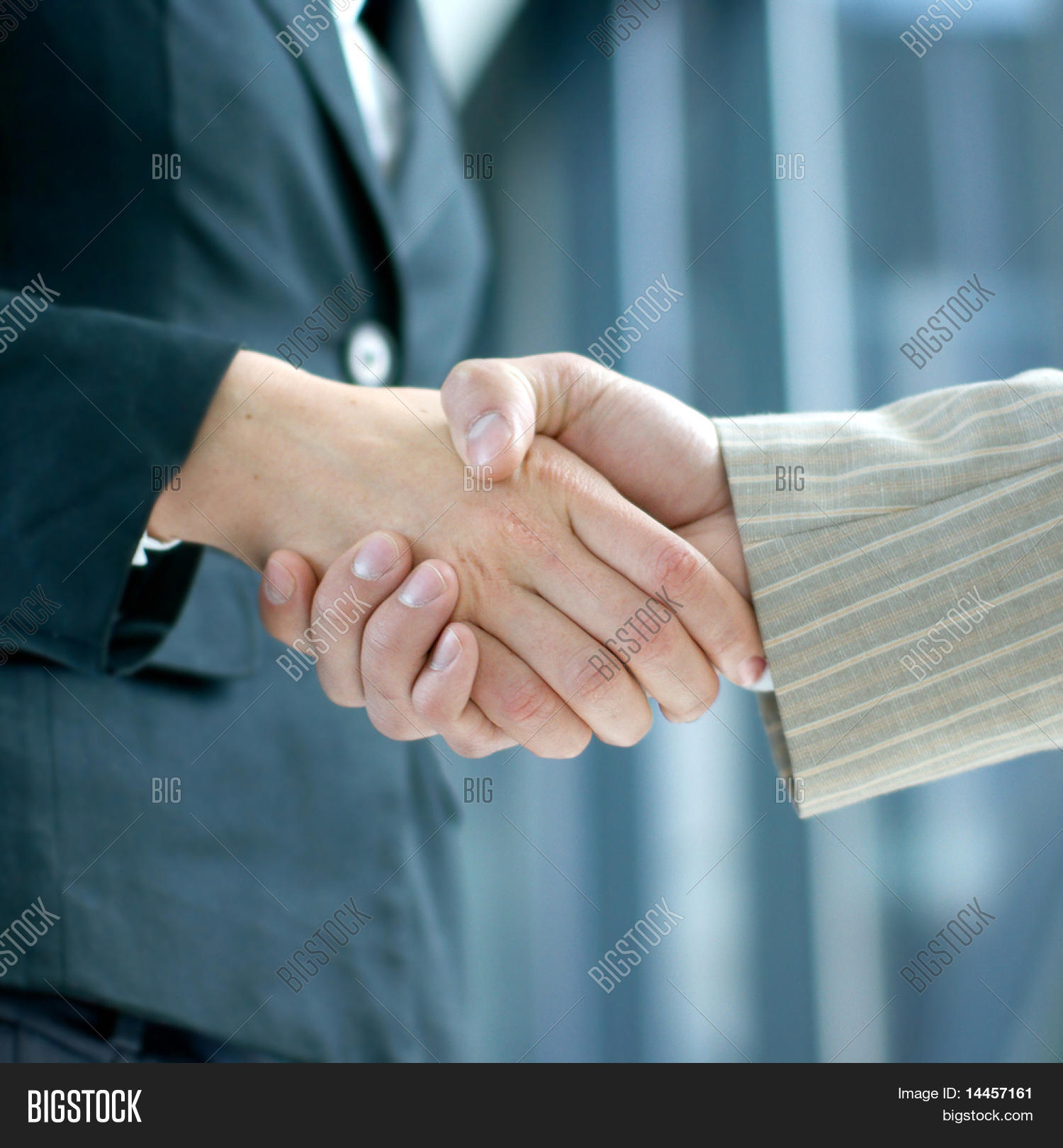Handshake (woman Man) Image & Photo (Free Trial) | Bigstock