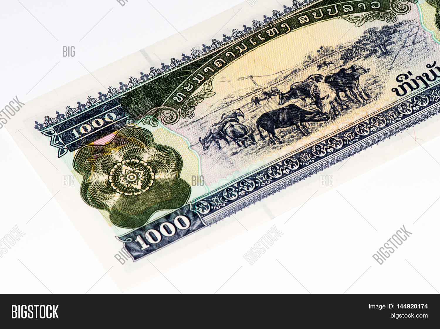1000 Kip Bank Note. Image & Photo (Free Trial) | Bigstock