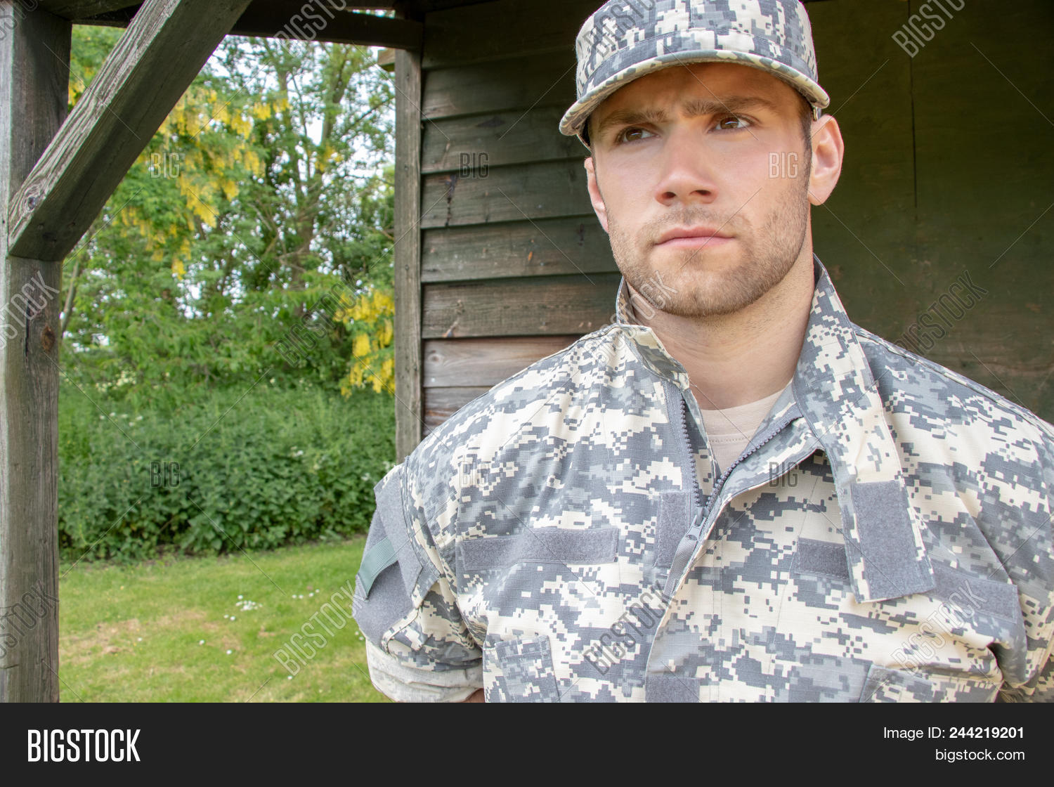 Muscular Military Man Image & Photo (Free Trial) | Bigstock