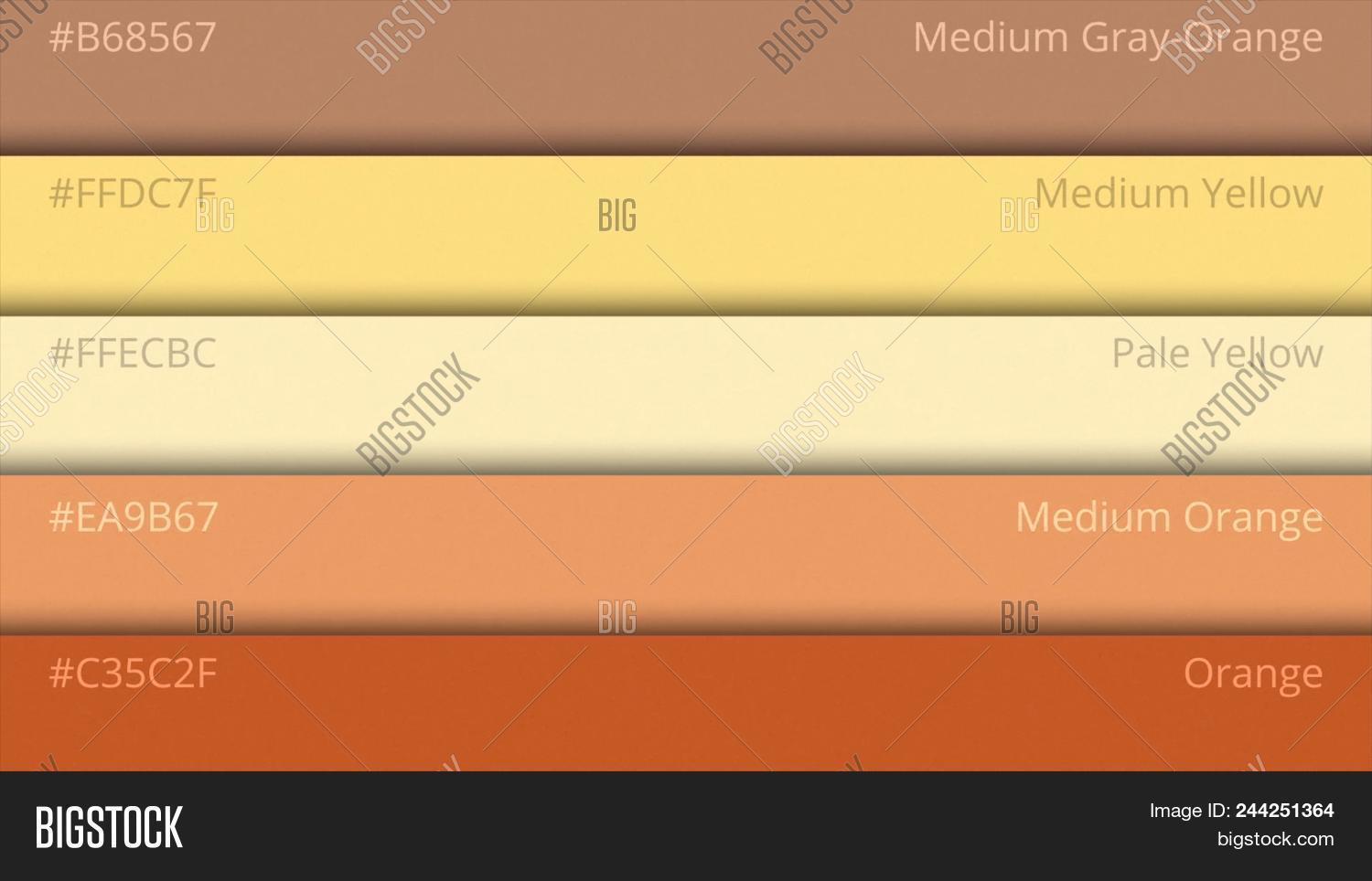 Color Palette Guide. Image & Photo (Free Trial) | Bigstock