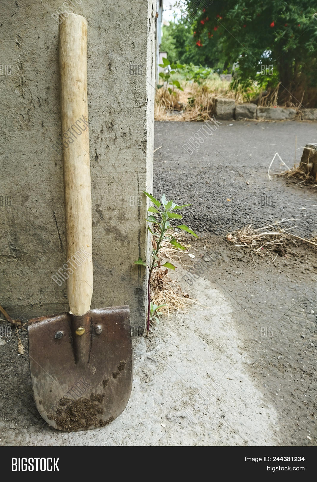 Miniature Shovel Image & Photo (Free Trial) | Bigstock