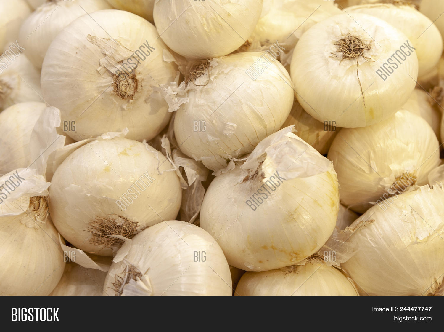 White Onion Shop Image & Photo (Free Trial) | Bigstock