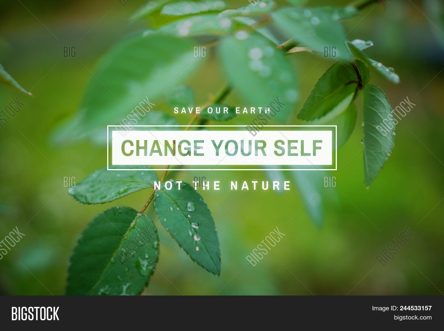 Environmental Awareness Slogans