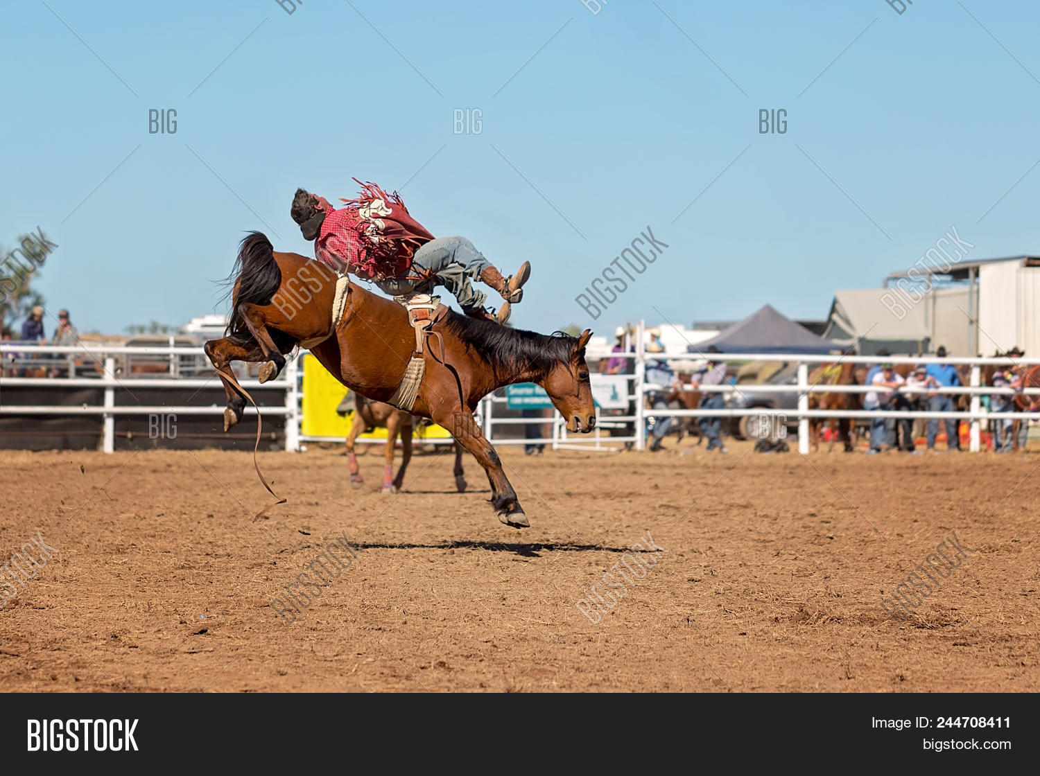 Cowboy Rides Bucking Image & Photo (Free Trial) | Bigstock