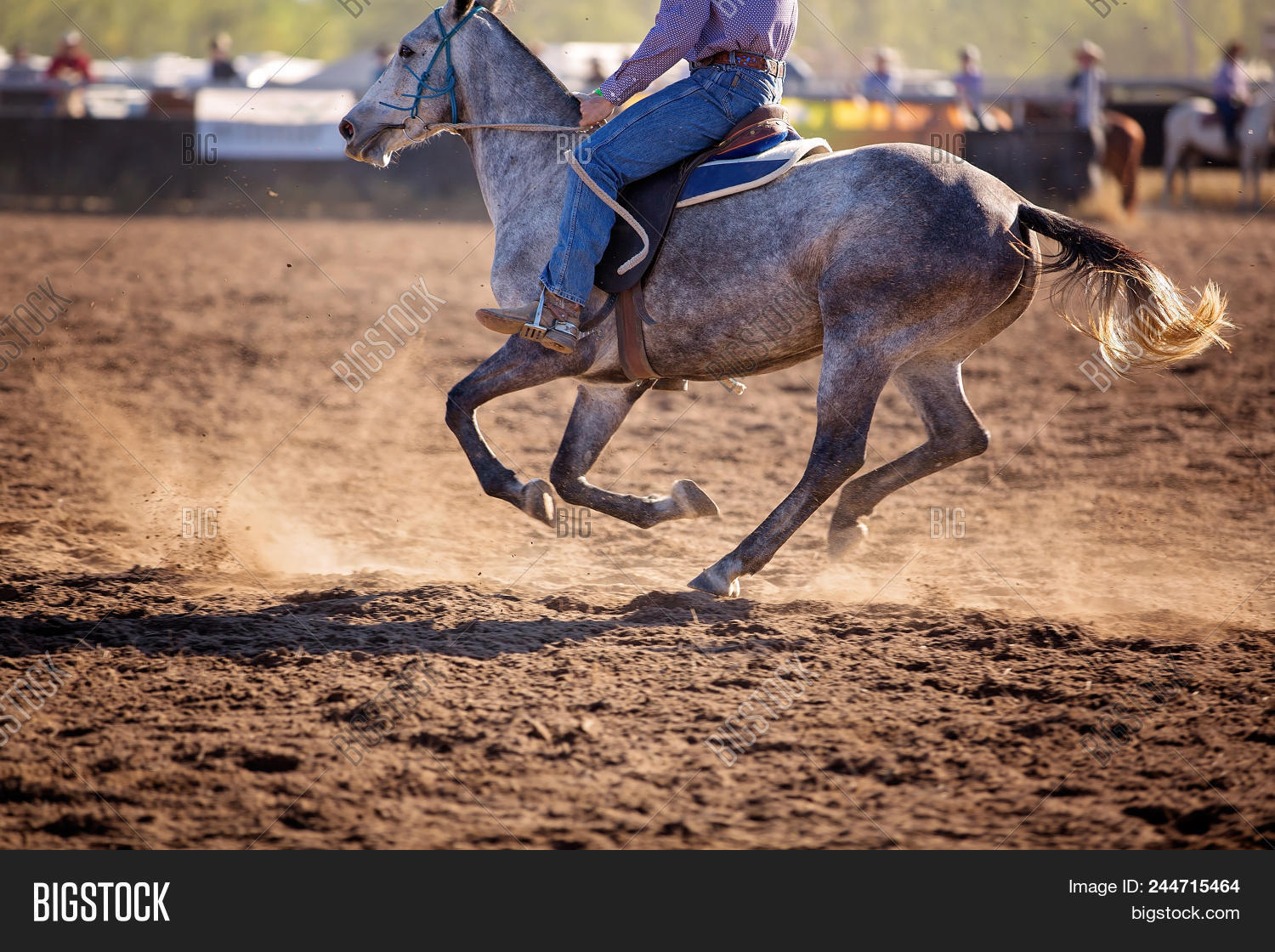 Cowboy Riding Image & Photo (Free Trial) | Bigstock