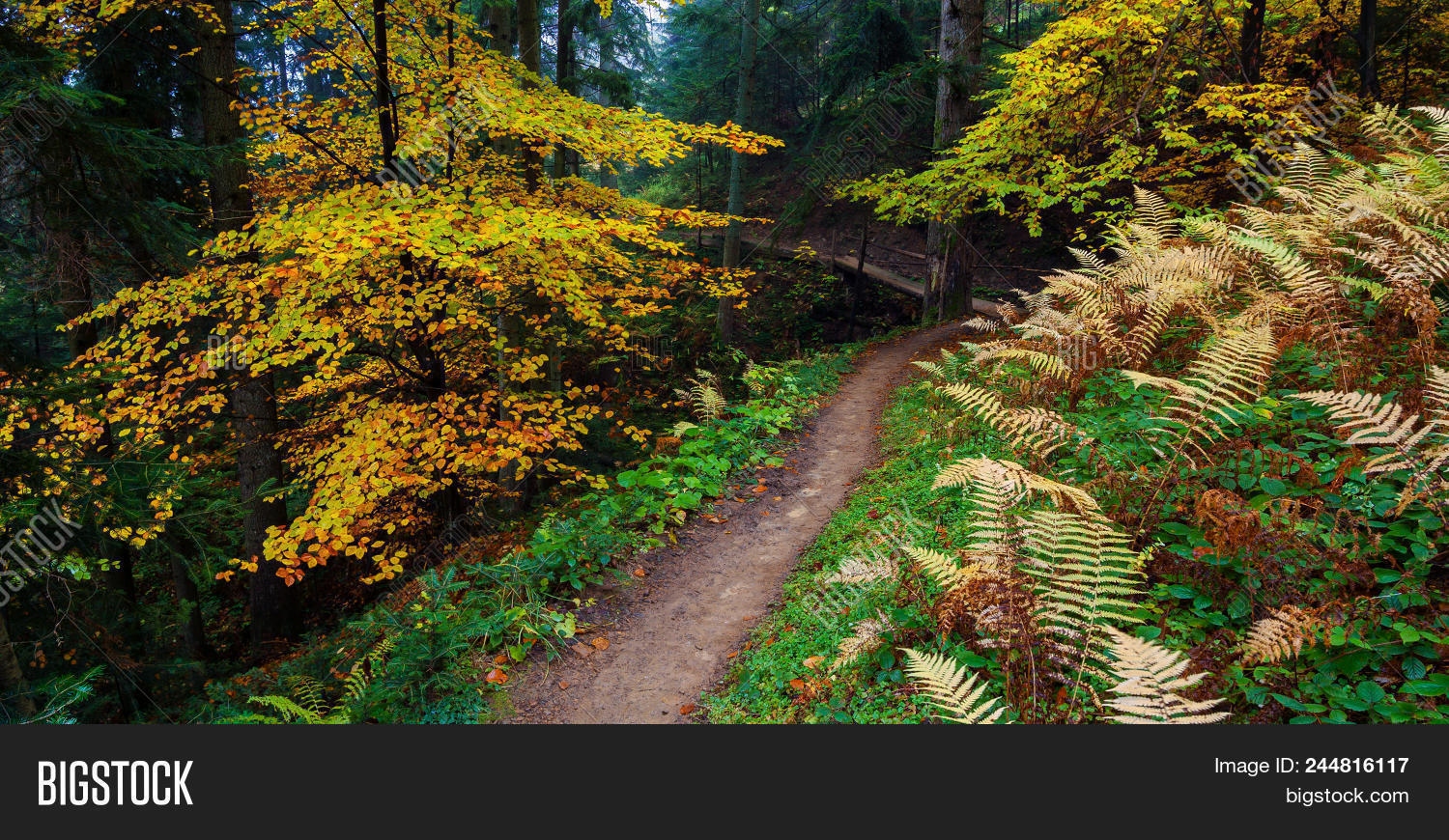 Autumn Landscape. Path Image & Photo (Free Trial) | Bigstock