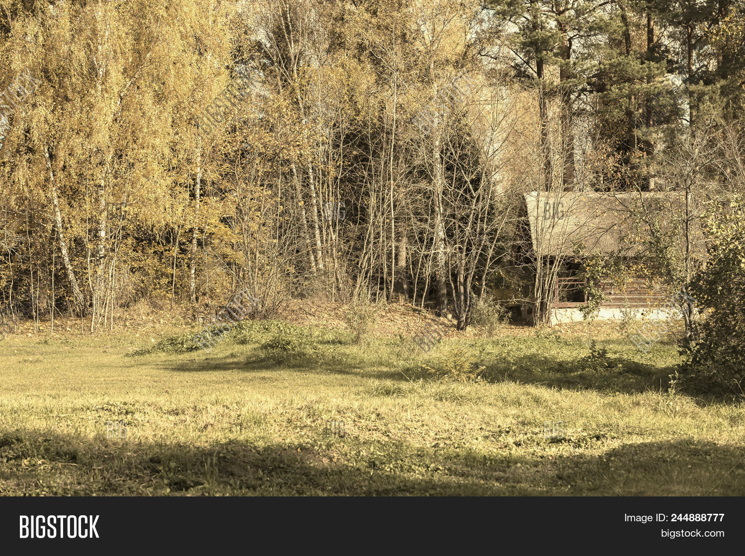 Vintage, Rustic Wooden Image & Photo (Free Trial) | Bigstock