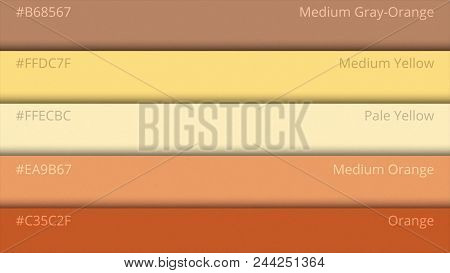 Color Palette Guide. Image & Photo (Free Trial) | Bigstock