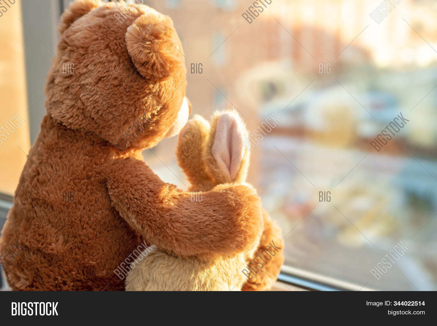 Best Friends Teddy Image & Photo (Free Trial) | Bigstock