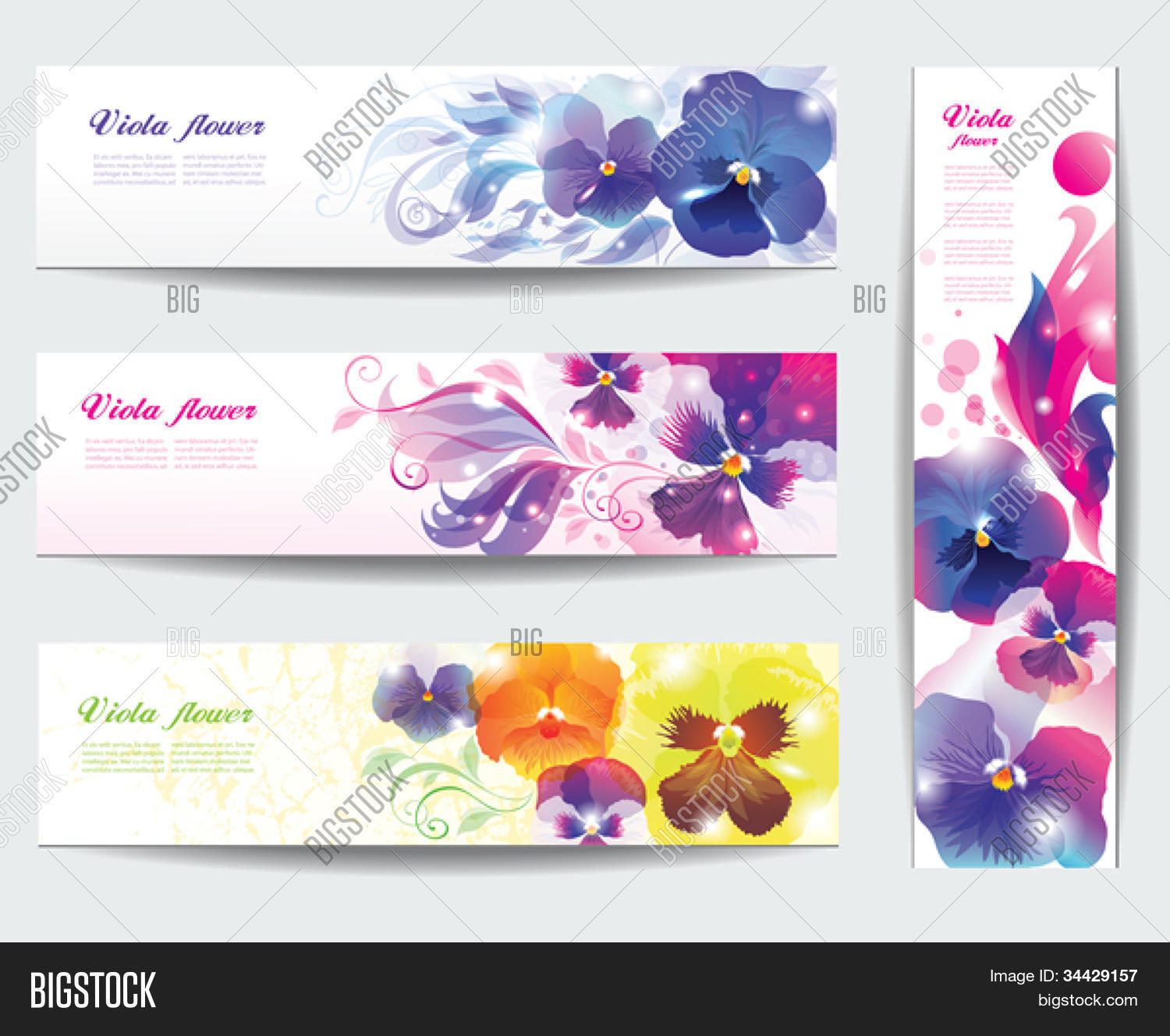 Viola Flower Vector Vector & Photo (Free Trial) | Bigstock