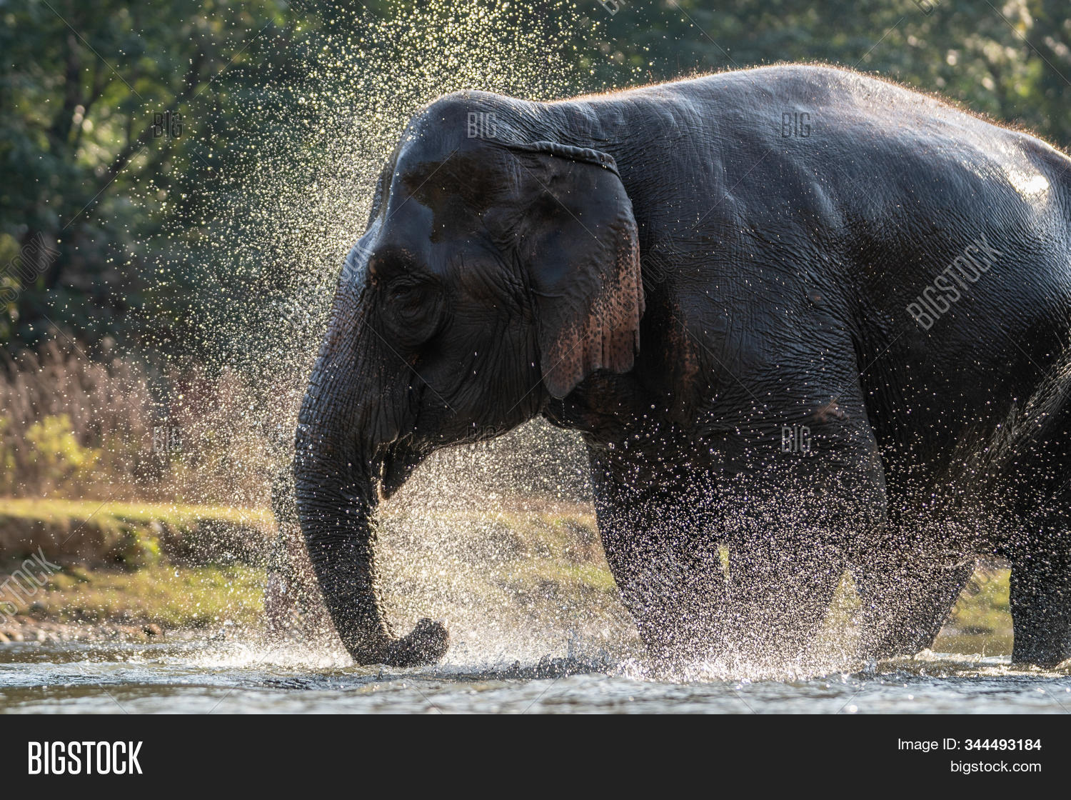 Splash Water On Image & Photo (Free Trial) | Bigstock