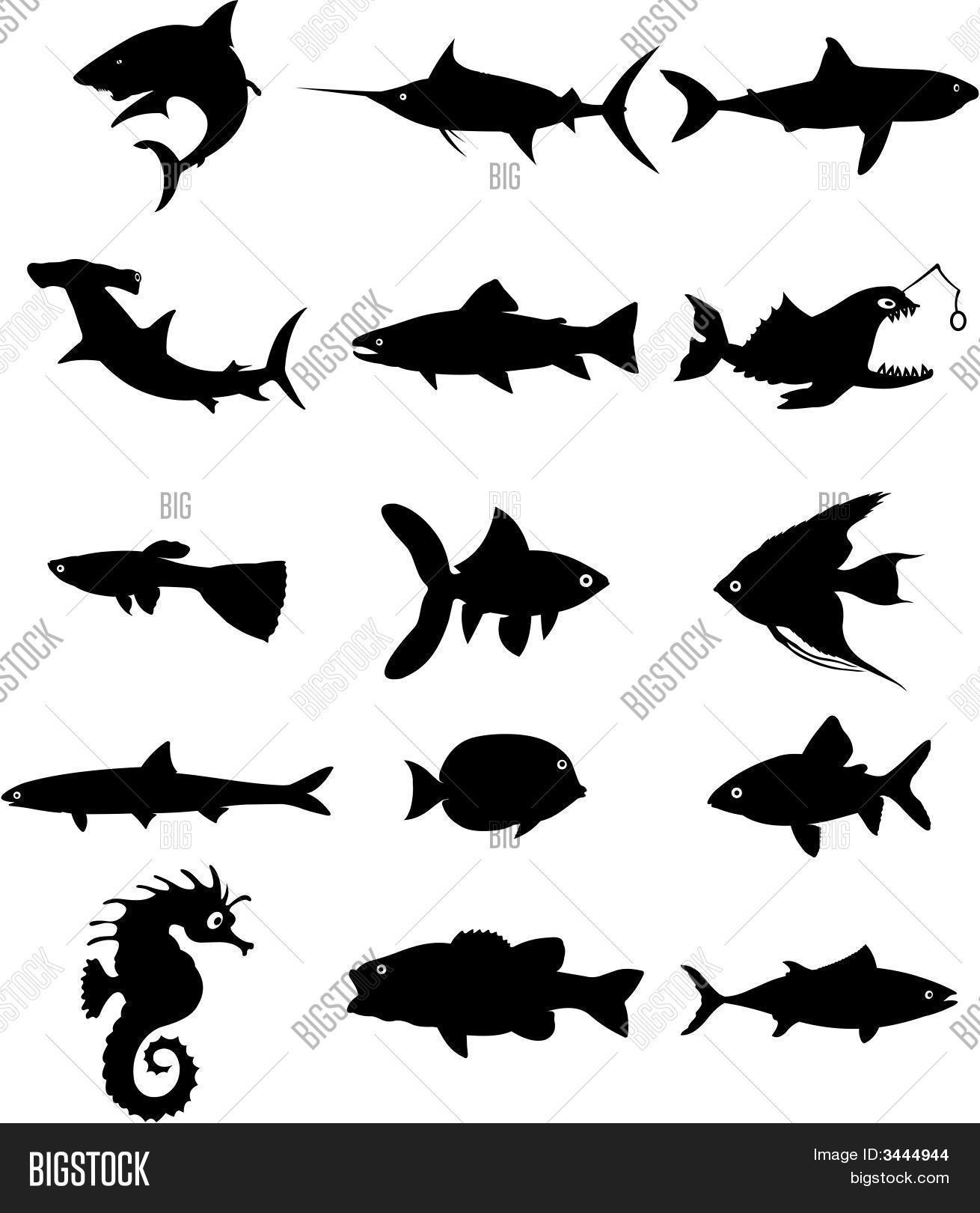Fish Silhouette Vector & Photo (Free Trial) | Bigstock