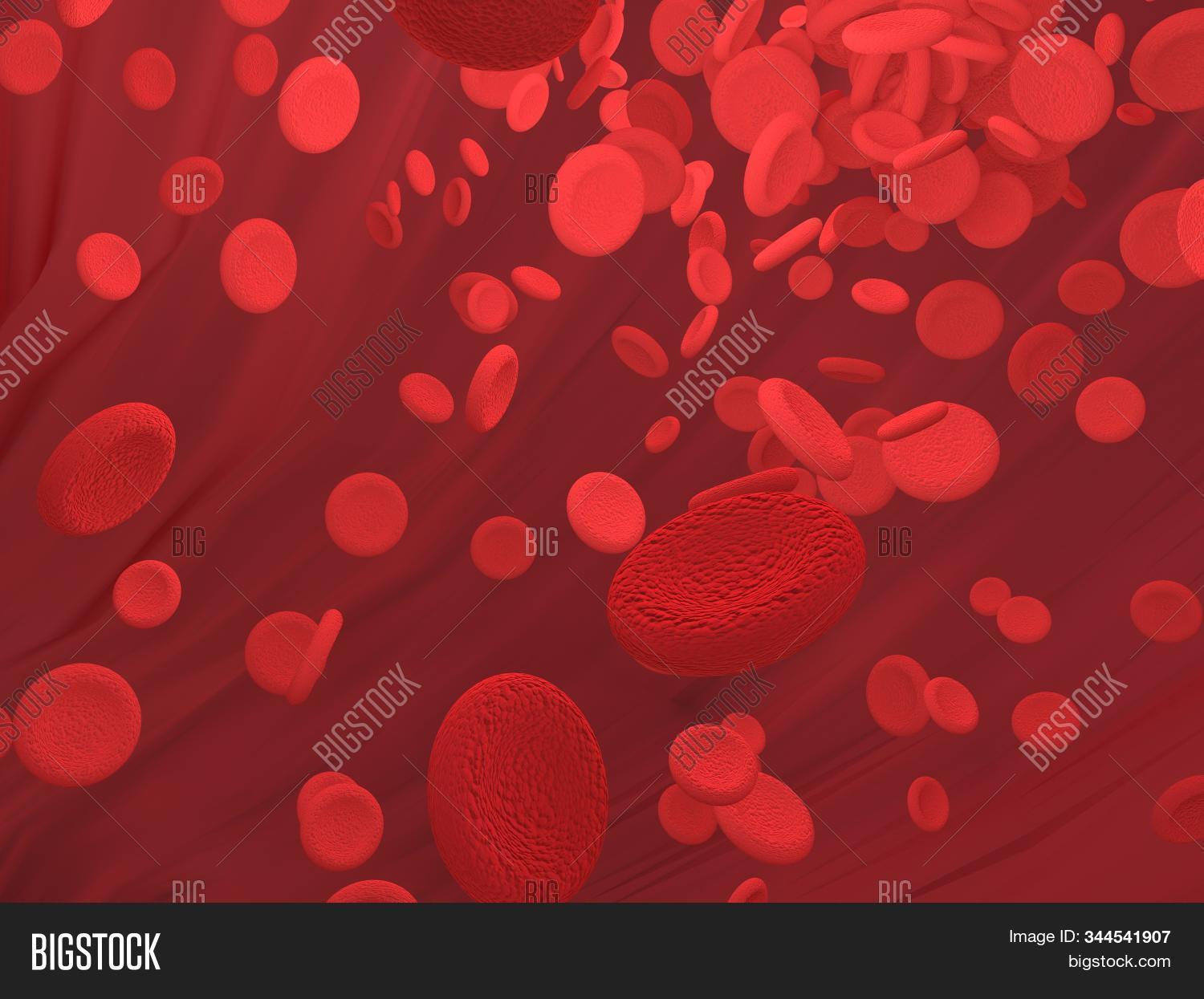 Red Blood Cell Flowing Image & Photo (Free Trial) | Bigstock