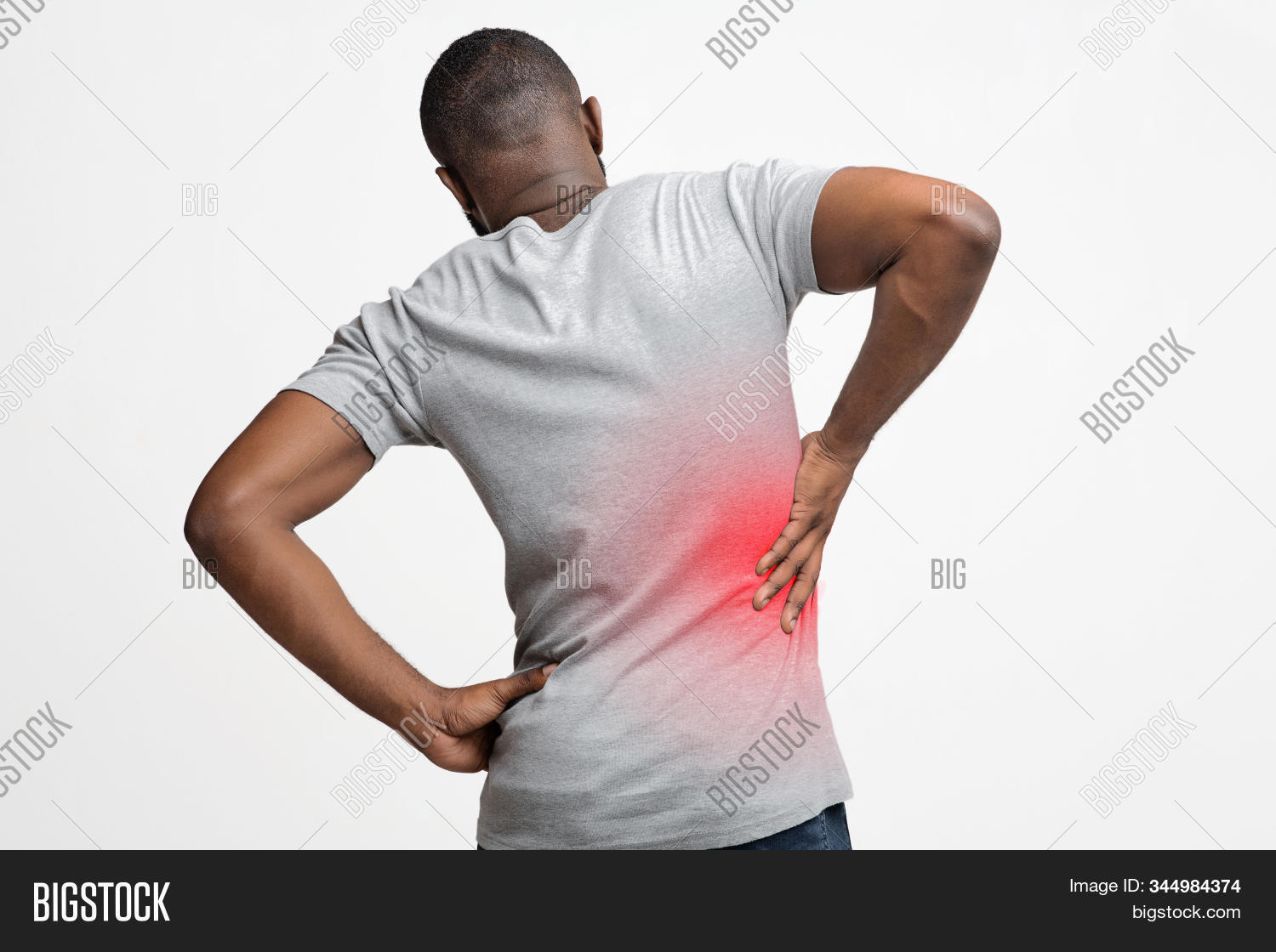 Kidney Location Back View