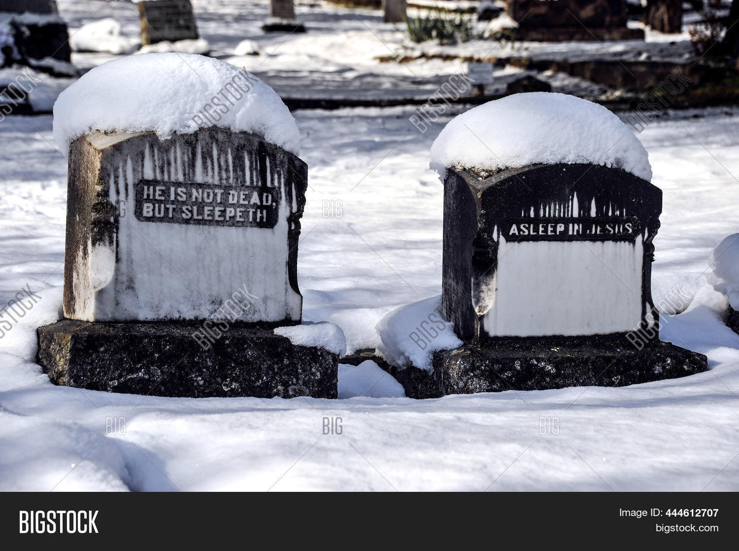This Photo Two Image & Photo (Free Trial) | Bigstock
