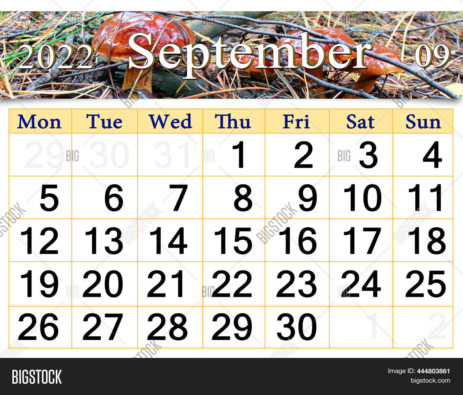 September 2022 Image & Photo (Free Trial) | Bigstock