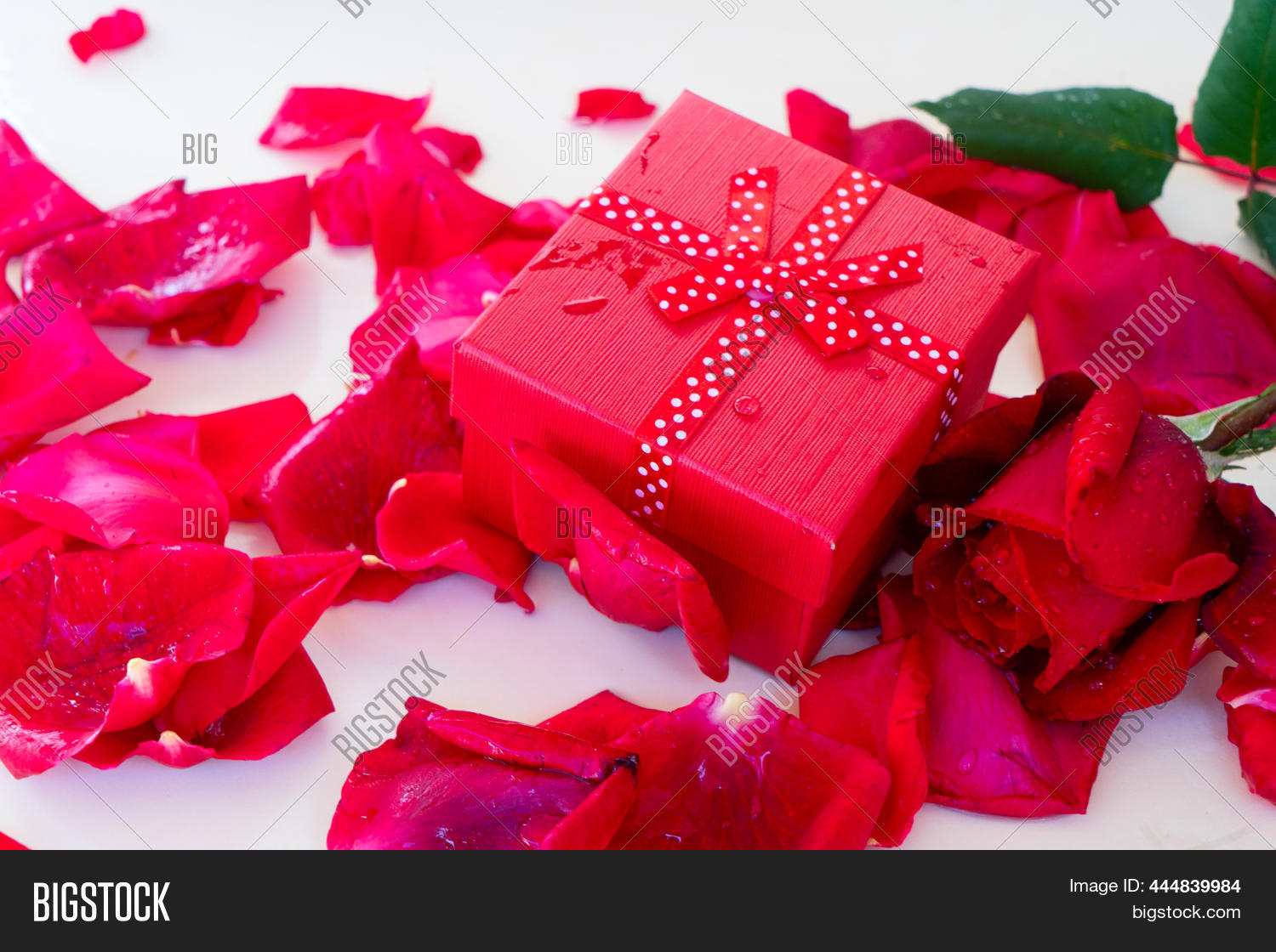 Dark Red Fresh Rose Image & Photo (Free Trial) | Bigstock