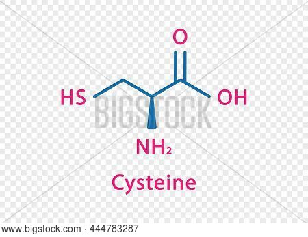 Cysteine Chemical Vector & Photo (Free Trial) | Bigstock
