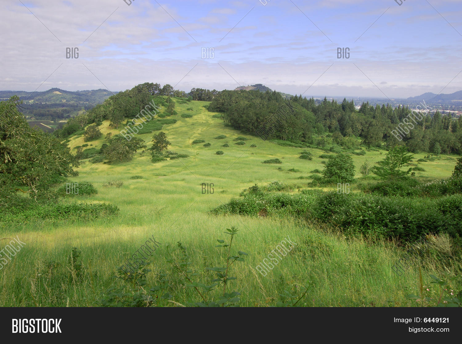 Grass Hill Trees On Image & Photo (Free Trial) | Bigstock