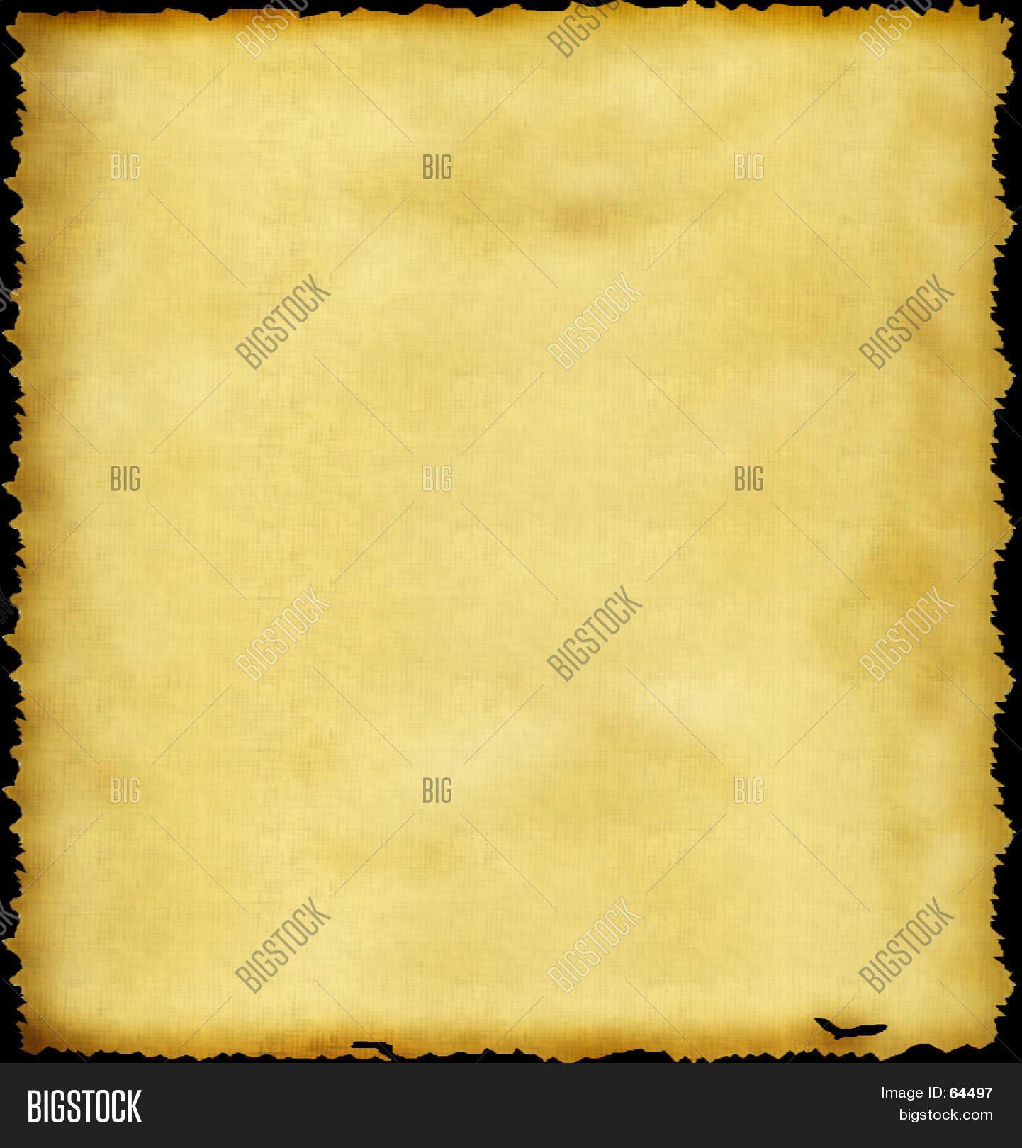 Parchment Paper Image & Photo (Free Trial) | Bigstock