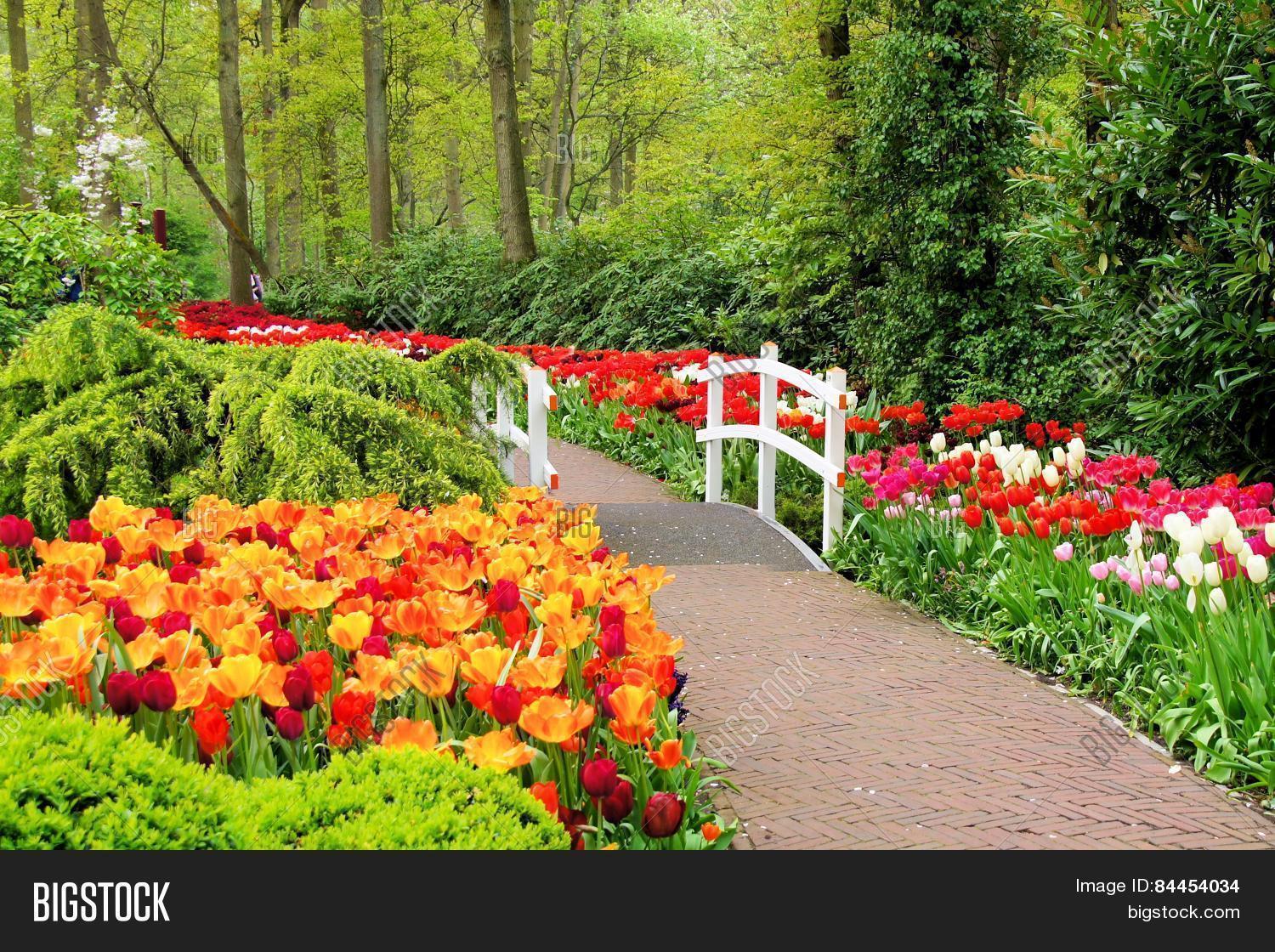 Walkway Through Spring Image & Photo (Free Trial) | Bigstock